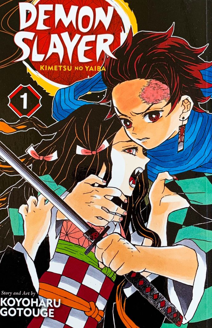 Demon Slayer: Kimetsu no Yaiba Volume 1 - Comic Strip Store